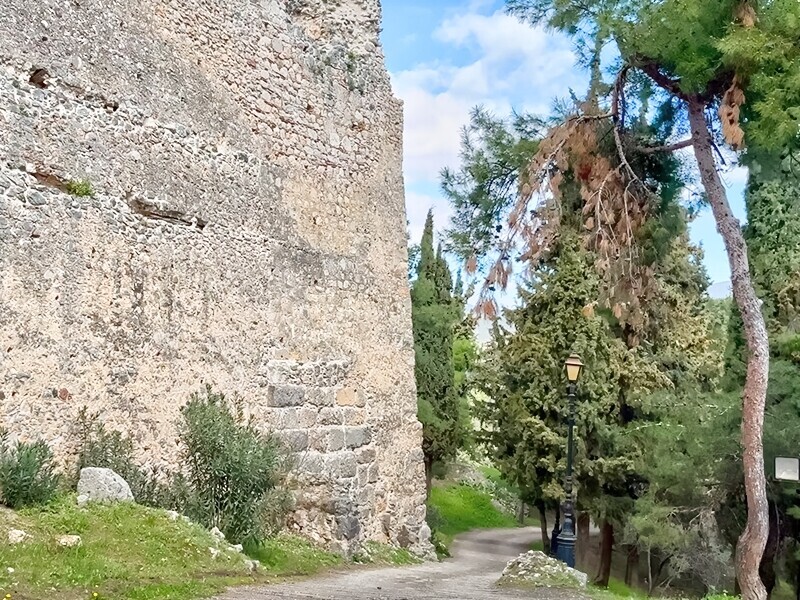 Top Festivals and Events You Can't Miss in Lamia City